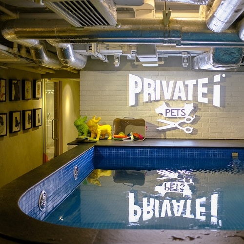 PRIVATE i PETS Offer | American Express Hong Kong