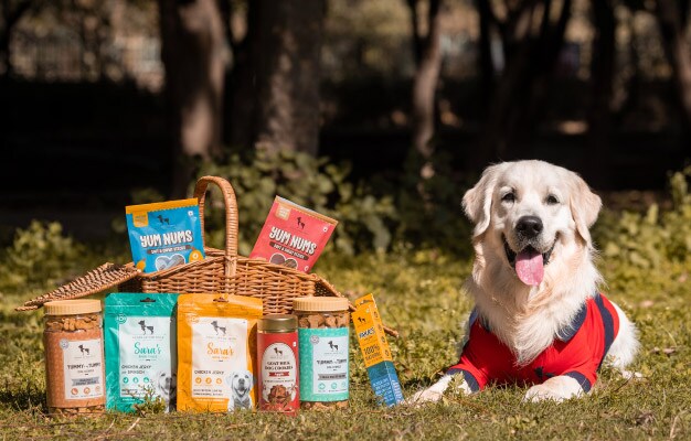 Reward Xcelerator | American Express IN