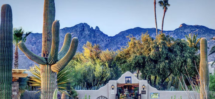 American Express Member Benefits & Experiences | Amex US