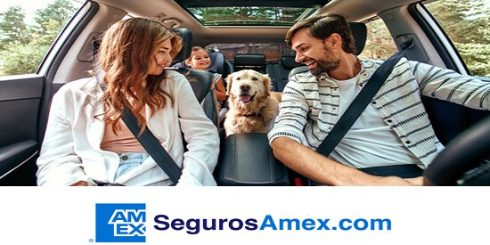 Seguros | American Express MX