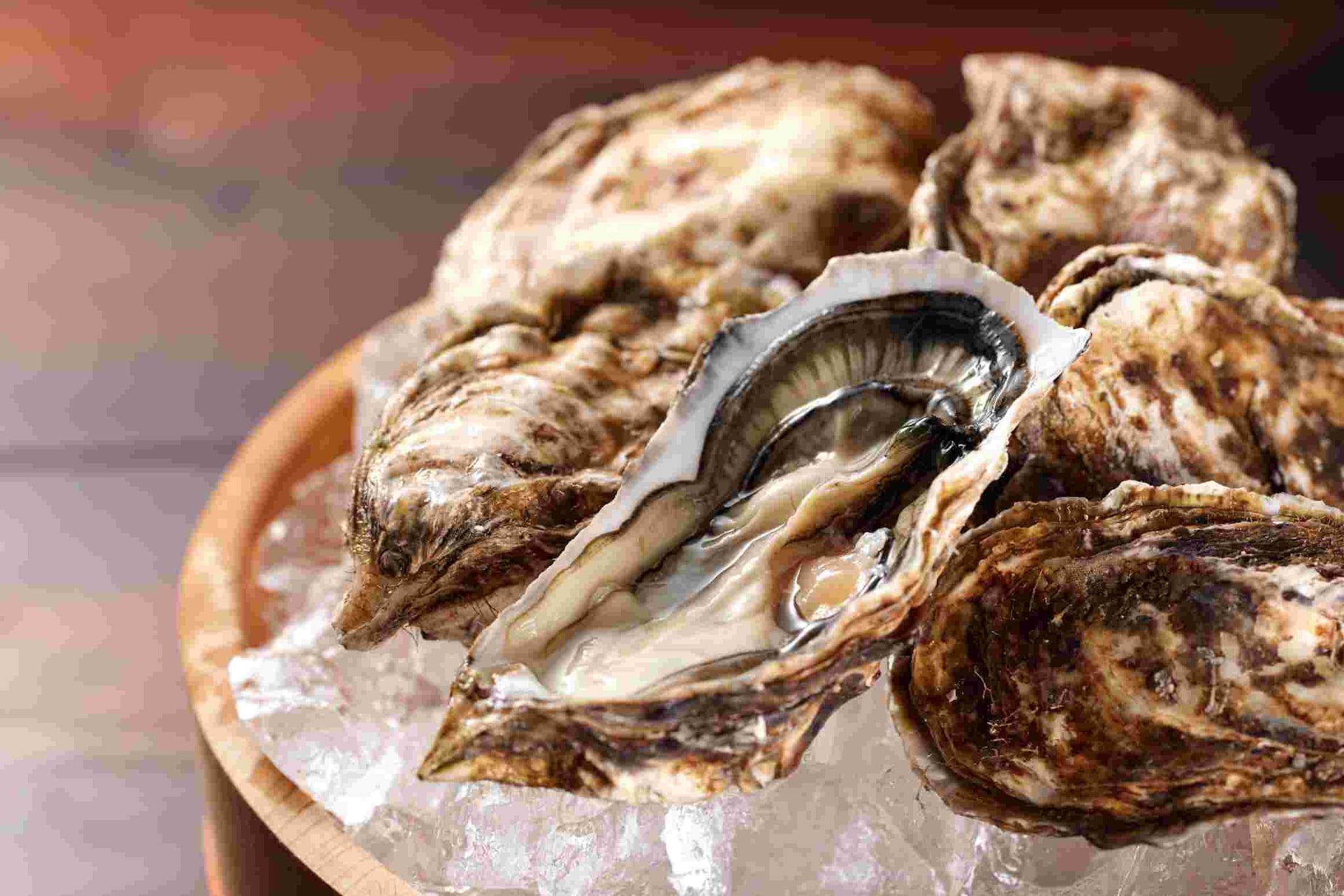 Citysuper Oyster | American Express HK