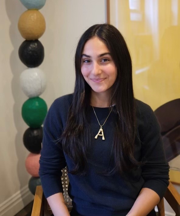 AMEX Ventures - Strategic Investment Group for Consumers & Businesses ...