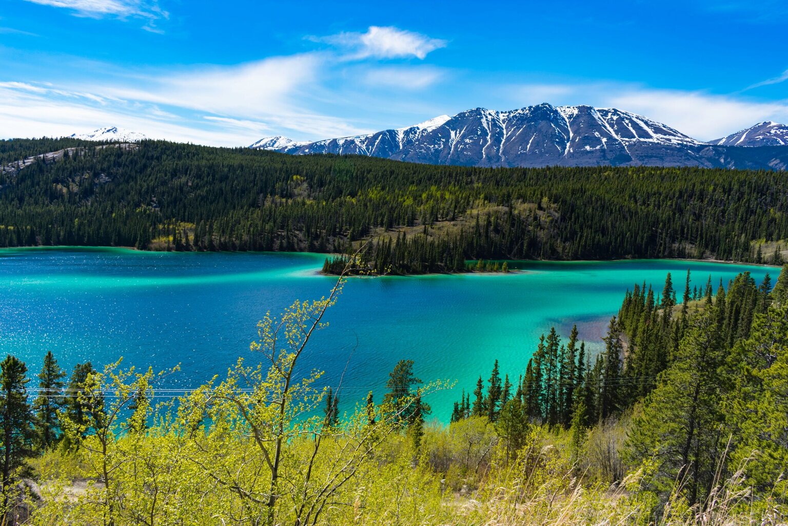 Yukon Territory in Kanada: Abenteuer in der Wildnis