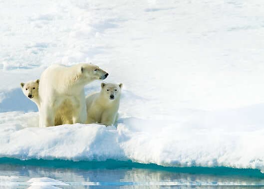 Travel Providers for your Custom Vacation | Amex Travel