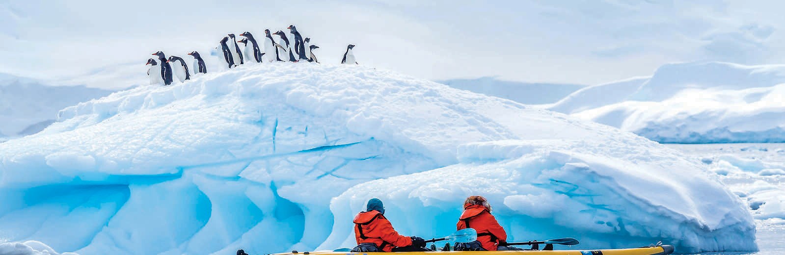 Journey to Antarctica: The White Continent by Lindblad Expeditions ...