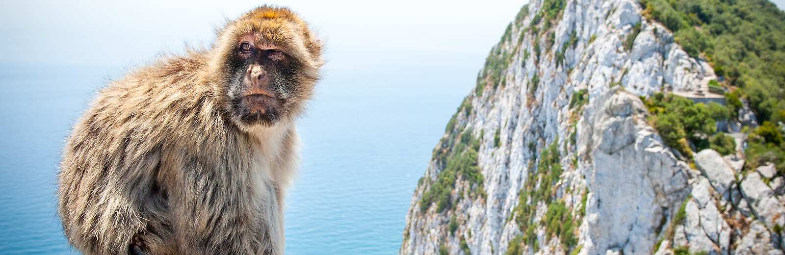 Highlights of Spain and Portugal by Globus | Amex Travel