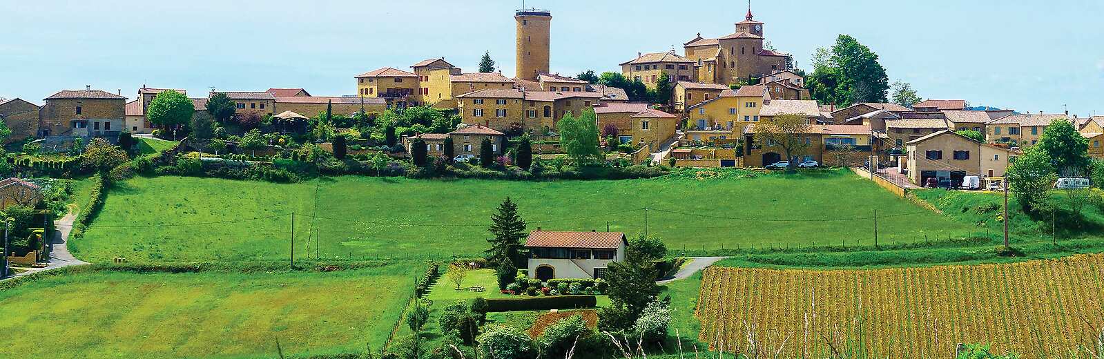 Savoring France: Paris, Lyon & Provence by Tauck | Amex Travel
