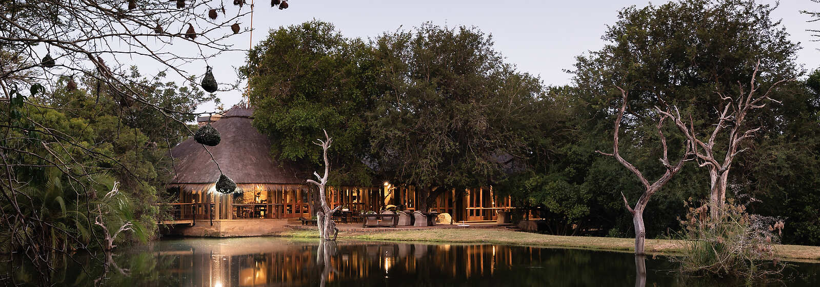 Jabulani Safari | Fine Hotels + Resorts | Amex Travel